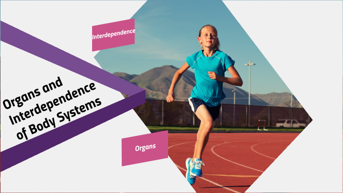 Organs and Interdependence of Body Systems by Jônatas Rolando on Prezi