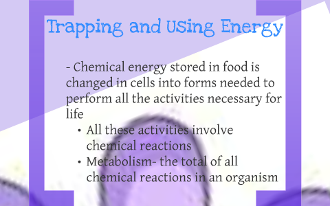 Energy for Life by Alexis Guillory on Prezi