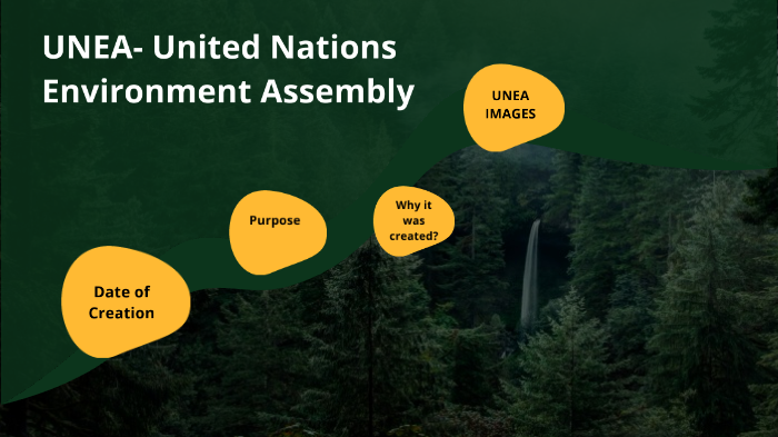 UNEA- United Nations Environment Assembly by Emily Fonseca on Prezi