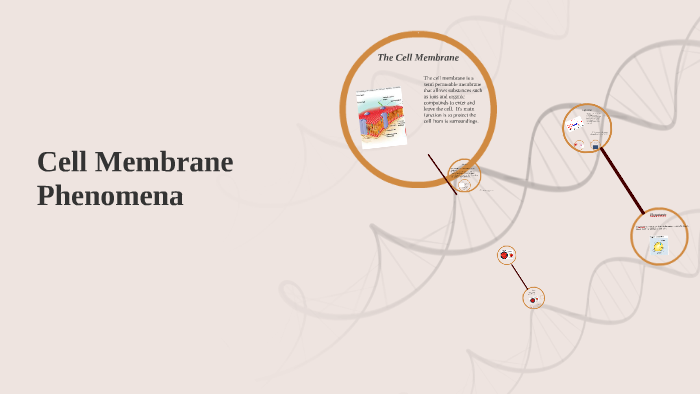 Cell Membrane Phenomena by Coree Kidd on Prezi