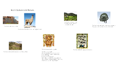 Incas Customs and Beliefs by Luke Duke on Prezi