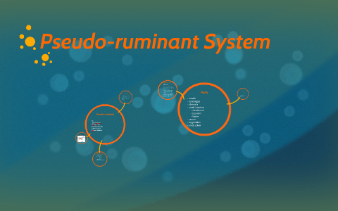 Pseudo-ruminant by Ian Plunkett on Prezi