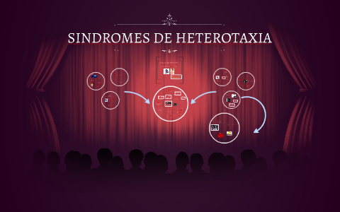 SINDROMES DE HETEROTAXIA by Imane Essarroukh on Prezi