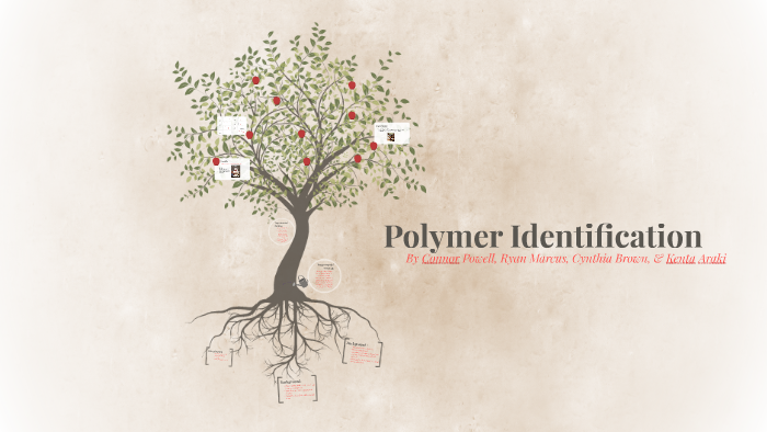 Polymer Identification by Ryan Marcus