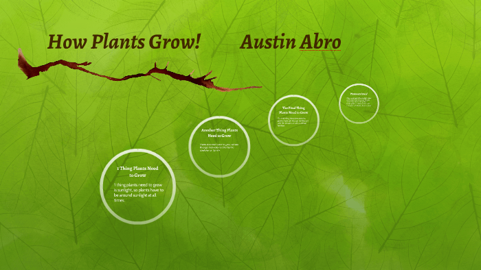 How Plants Grow! by Austin Abro on Prezi
