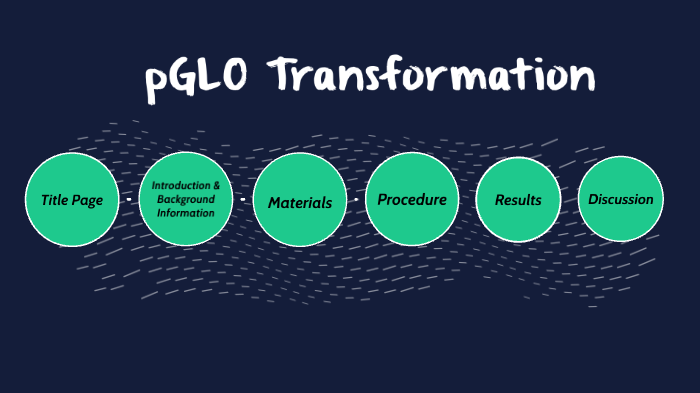 pGLO presentation-FISH by lindsay burchfield on Prezi