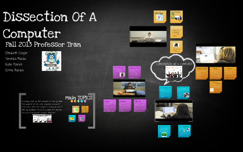 Dissection Of A Computer by Veronica Macias