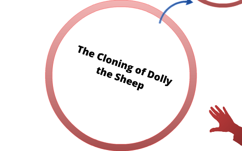 The cloning of Dolly the sheep by mary skelton