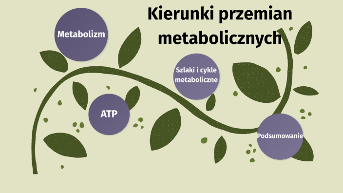 Kierunki przemian metabolicznych by Roxi XD on Prezi