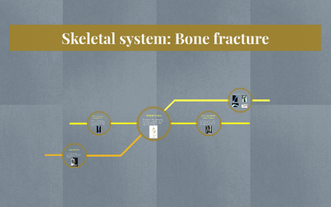 Bone fracture: Skeletal System by Alex Dimitrov on Prezi