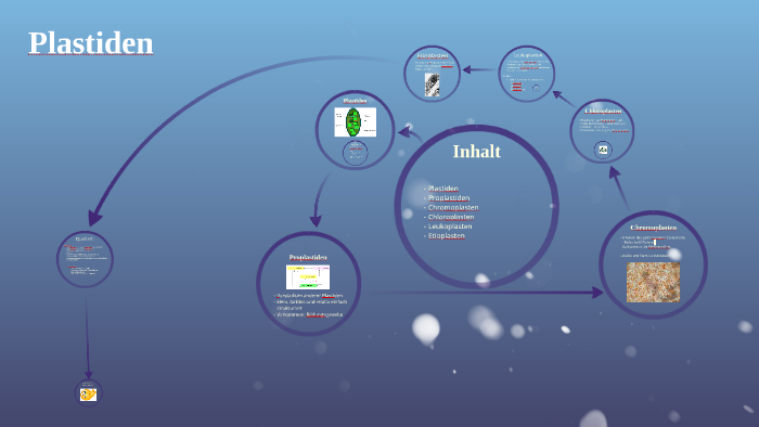 Plastiden by Timur Leyla on Prezi