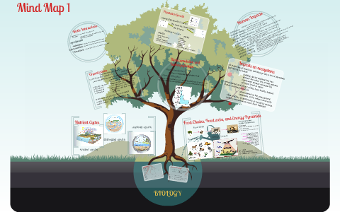 Biology Mind Map by salina lee on Prezi