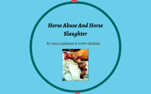 Horse Abuse And Horse Slaughter by Amber Hurlock on Prezi