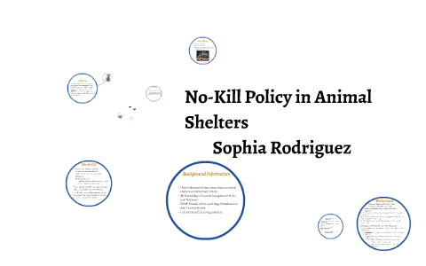 No-Kill Policy in Animal Shelters by Sophia Rodriguez on Prezi