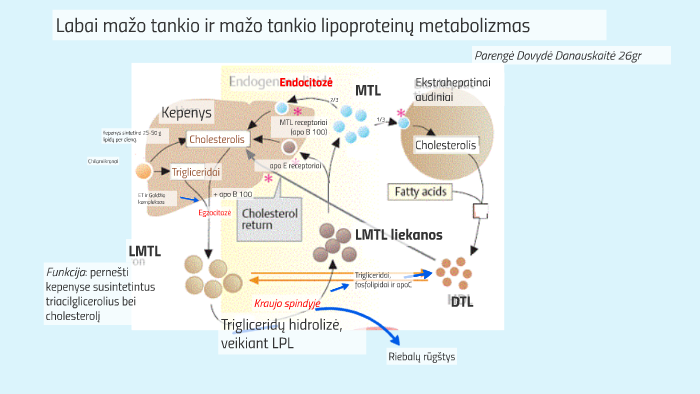 Labai mažo tankio ir mažo tankio lipoproteinų metabolizmas by dovyde ...