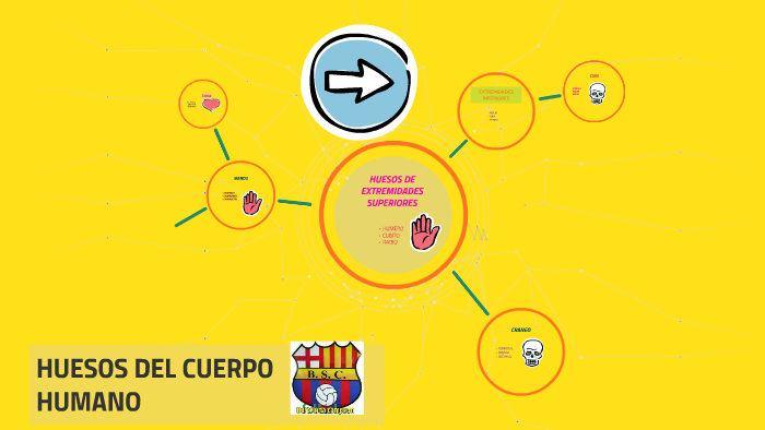 HUESOS DEL CUERPO HUMANO by JOHN CEVALLOS on Prezi