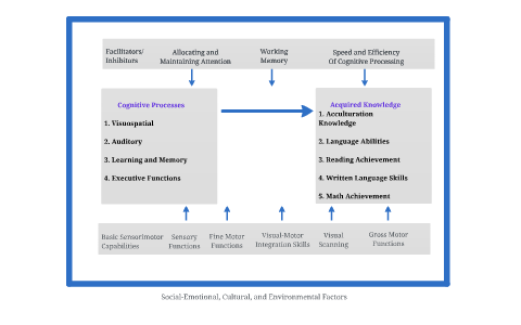 SNP Model by Ethan Schilling on Prezi