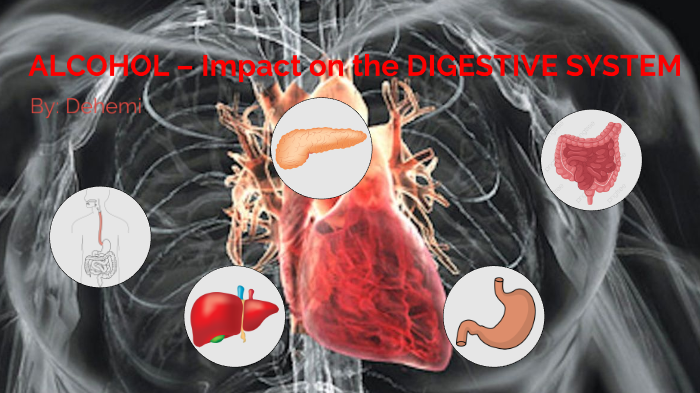 How Alcohol Affects the Digestive System by DehemiJ 59 on Prezi