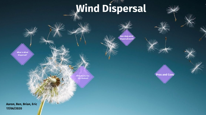 Wind, Dispersal by Brian Liu on Prezi