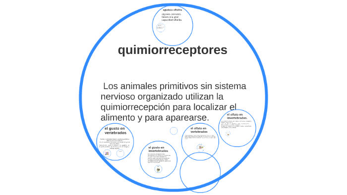 quimiorreceptores by andrea pradillo lopez on Prezi