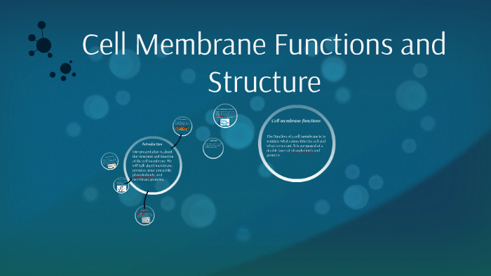 Cell Membrane Functions and Structure by on Prezi