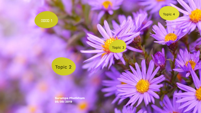 Presentation by Surampa Phetkham on Prezi