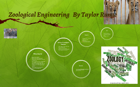 Zoological Engineering by Taylor R. on Prezi