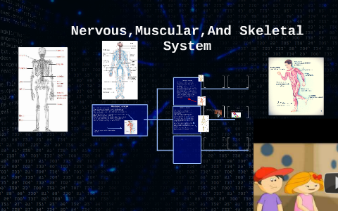Nervous,Muscular,Skeletal System by Todd Zamora on Prezi