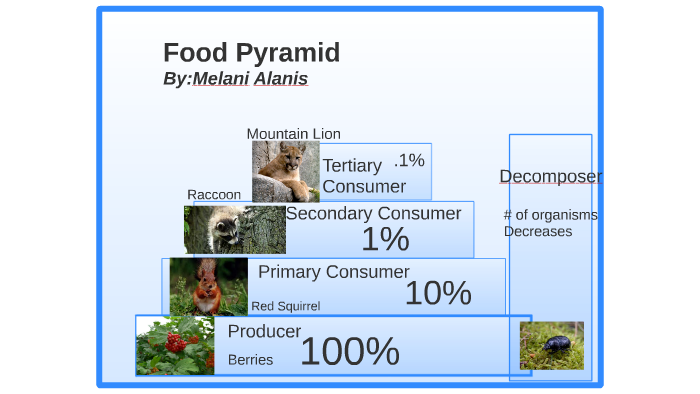 Food Pyramid by Melani Alanis on Prezi