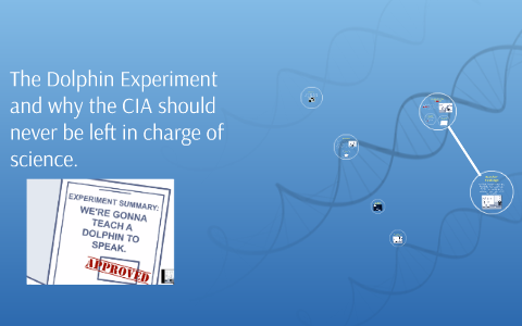 The Dolphin Experiment by knause x!o on Prezi