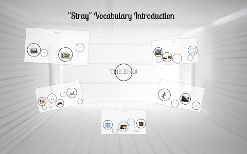 "Stray" Vocabulary Introduction by Kate Green on Prezi
