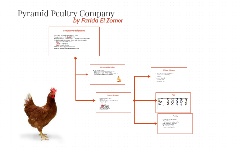 Pyramid Poultry Company by Farida El Zomor on Prezi