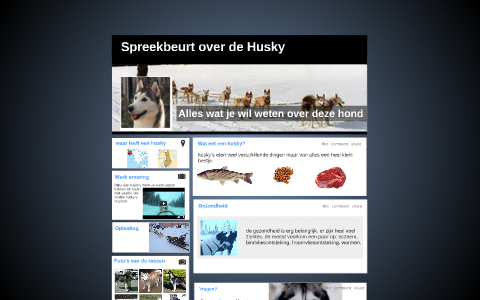 Spreekbeurt over de Husky by Valentijn Kroonen on Prezi