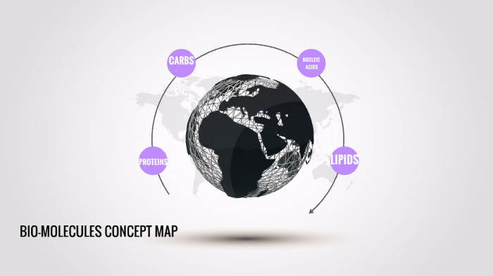 Biomolecules Concept Map by Erica Brinskelle on Prezi