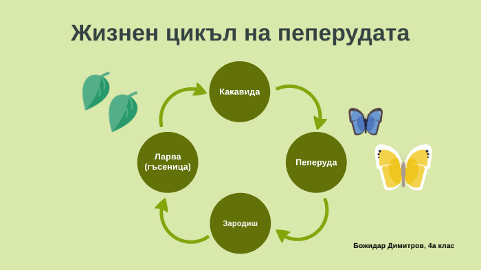 peperuda by bojidar dimitrov on Prezi