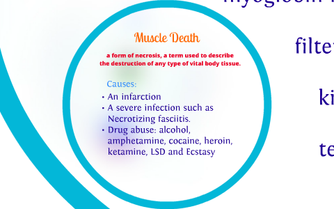 Muscle Death by Amanda Lor on Prezi