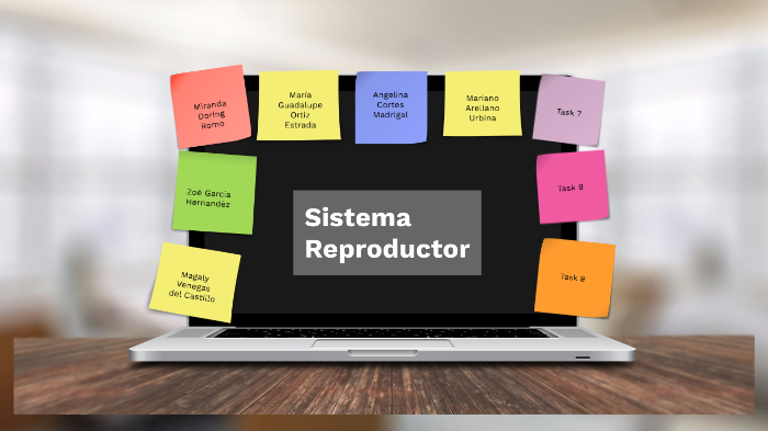 Sistema de reproducción humana by miranda romo on Prezi