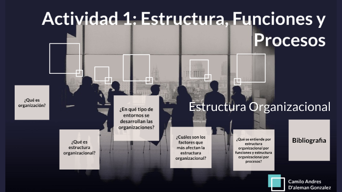 Actividad 1: Estructura, funciones y procesos by Camilo D'aleman ...