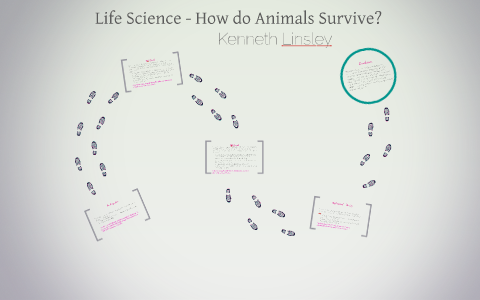 Life Science - How do Animals Survive? by Kenneth Linsley on Prezi