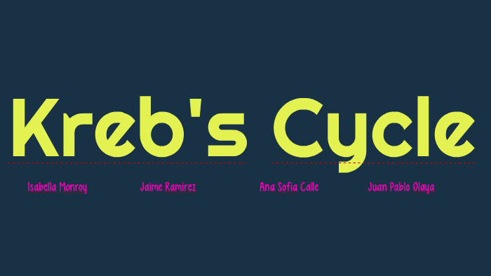 Kreb's Cycle by Isabella Monroy