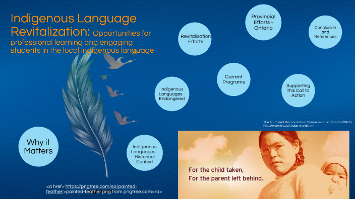 Indigenous Language Revitalization: A Guide for Educators by ALANA ...