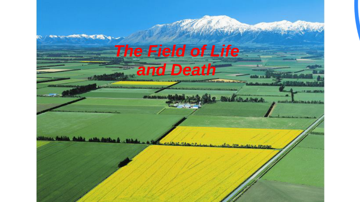 The Field of Life and Death by William Yan on Prezi