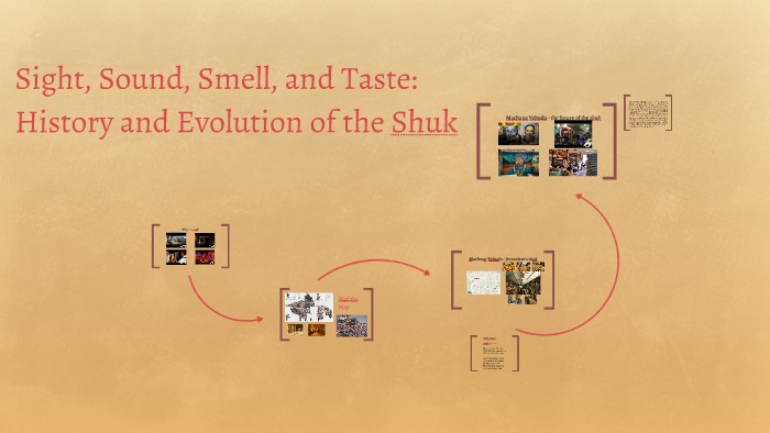 Sight, Sound, Smell, and Taste: The History and Evolution of by ...