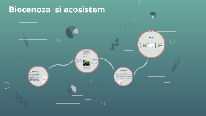 Biocenoza si ecosistem by Andrey Tkach on Prezi