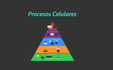 Procesos Celulares by tatiana arango on Prezi