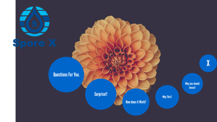 Spore X by Benjamen Todd on Prezi