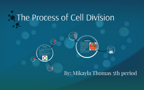 The Process of Cell Division by Mikayla Thomas on Prezi