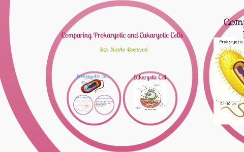 Comparing and Contrasting Prokaryotic and Eukaryotic Cells by Kayla Cervoni