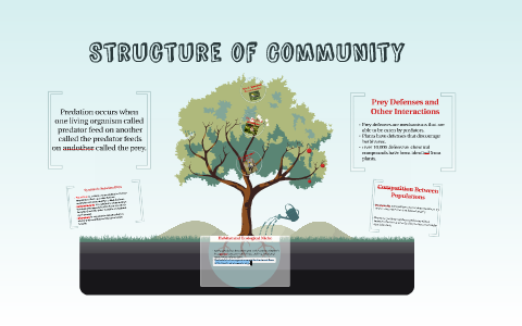 Structure of Community by Emilye Clark on Prezi