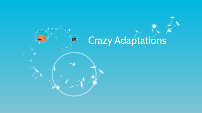 Crazy Adaptations by Callie Galvin on Prezi